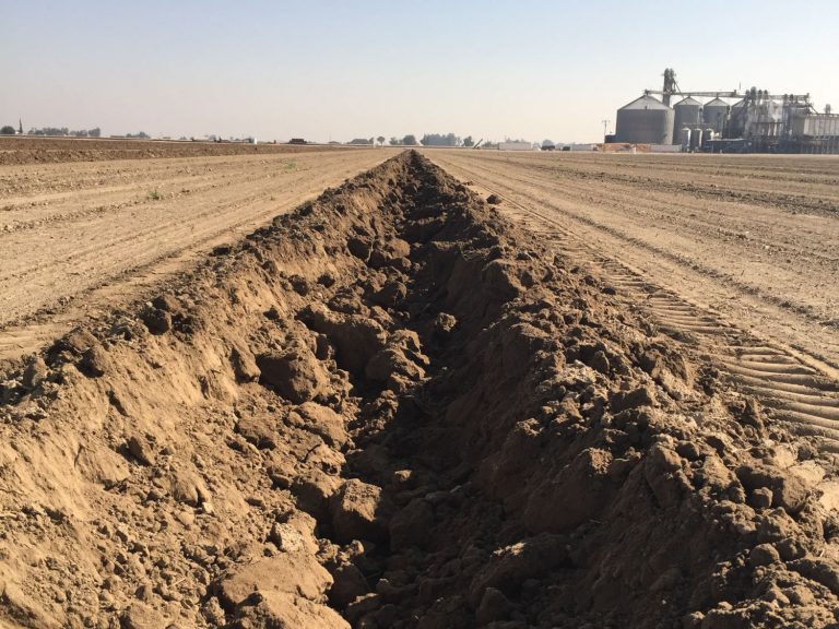 Sun Harvest - Mechanical Pruning, Deep Ripping, and Land Prep Services