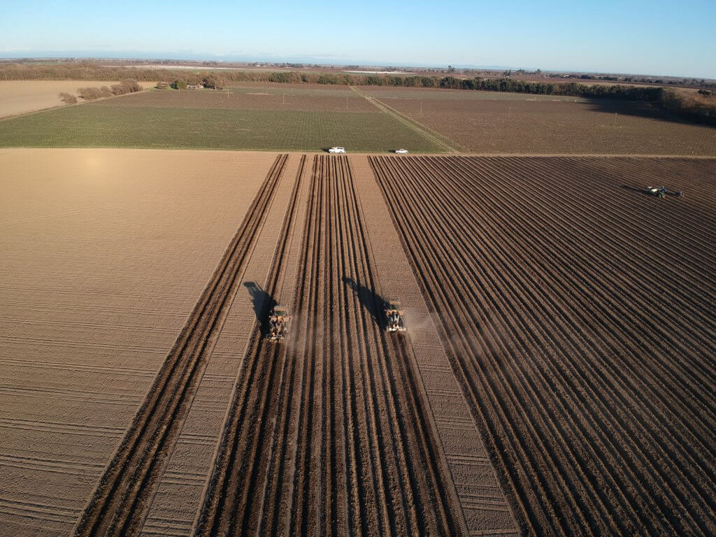 Sun Harvest - Mechanical Pruning, Deep Ripping, and Land Prep Services